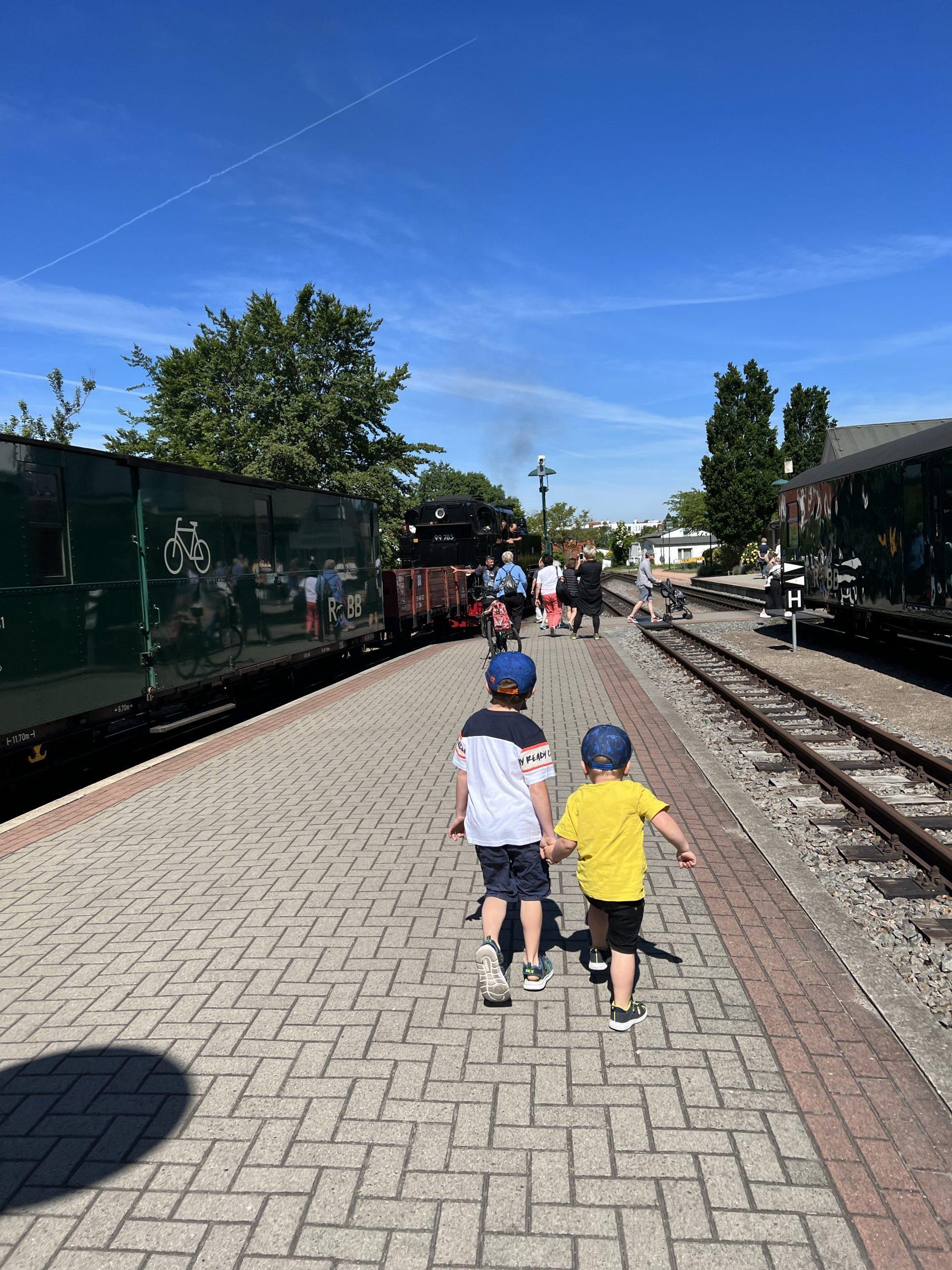 Der rasende Roland auf Rügen - Möwe13